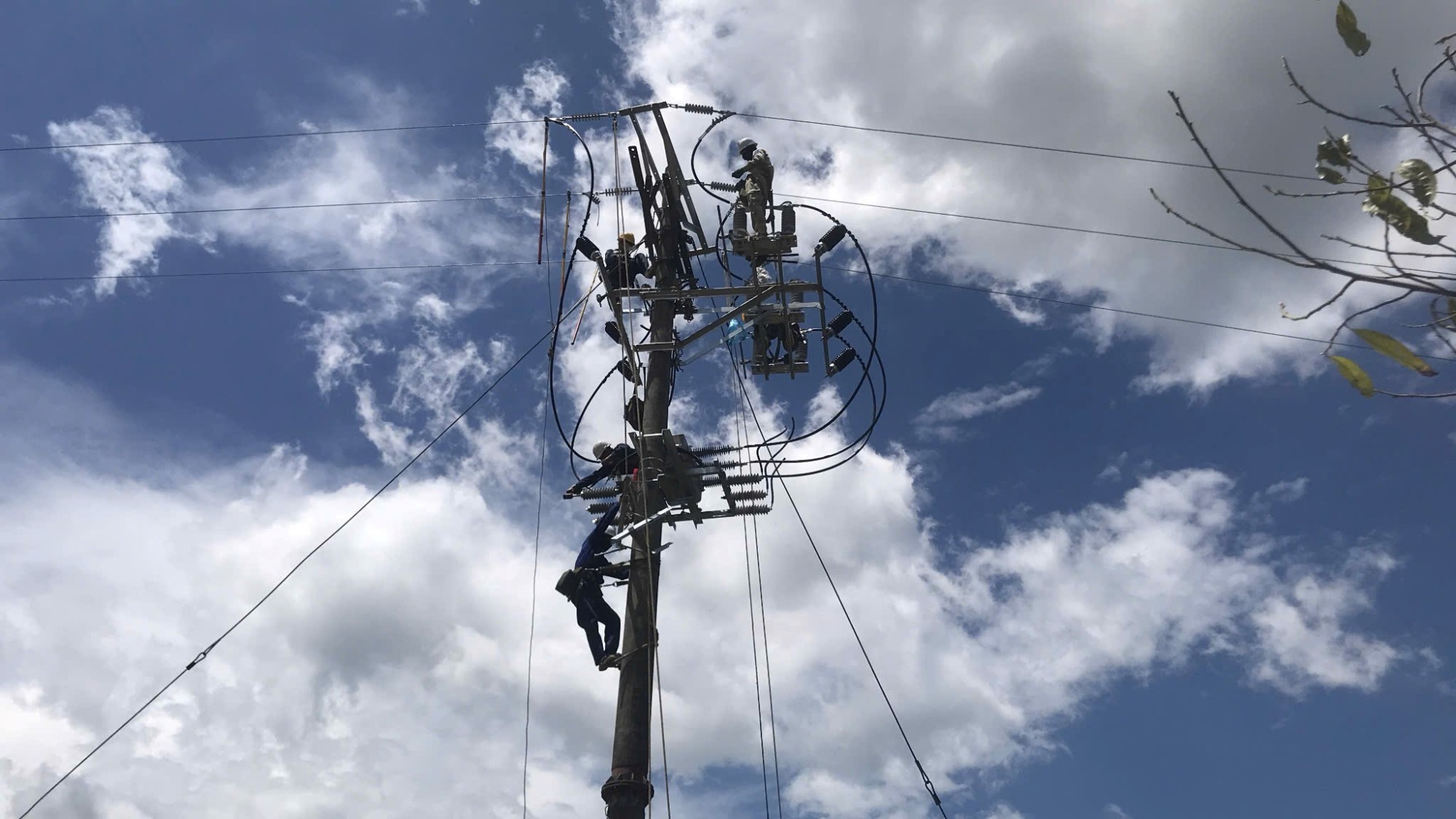 PC Điện Biên lắp đặt thiết bị LBS và recloser theo mô hình đa chia – đa ...